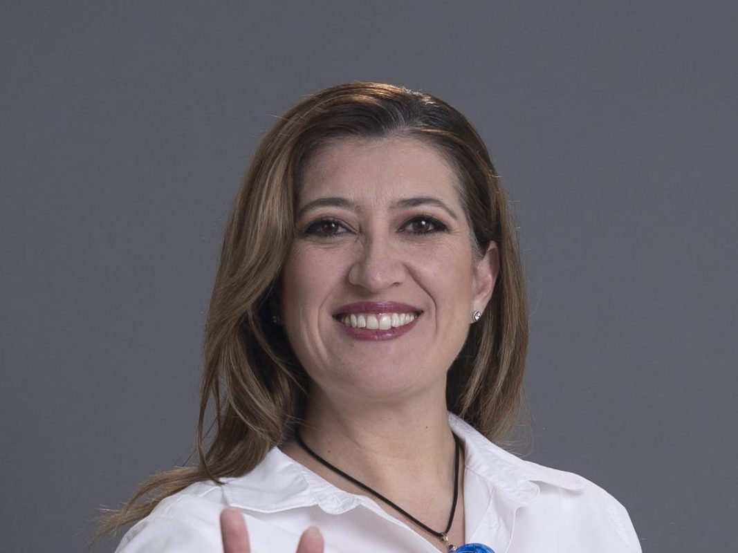 Diputados – PAN